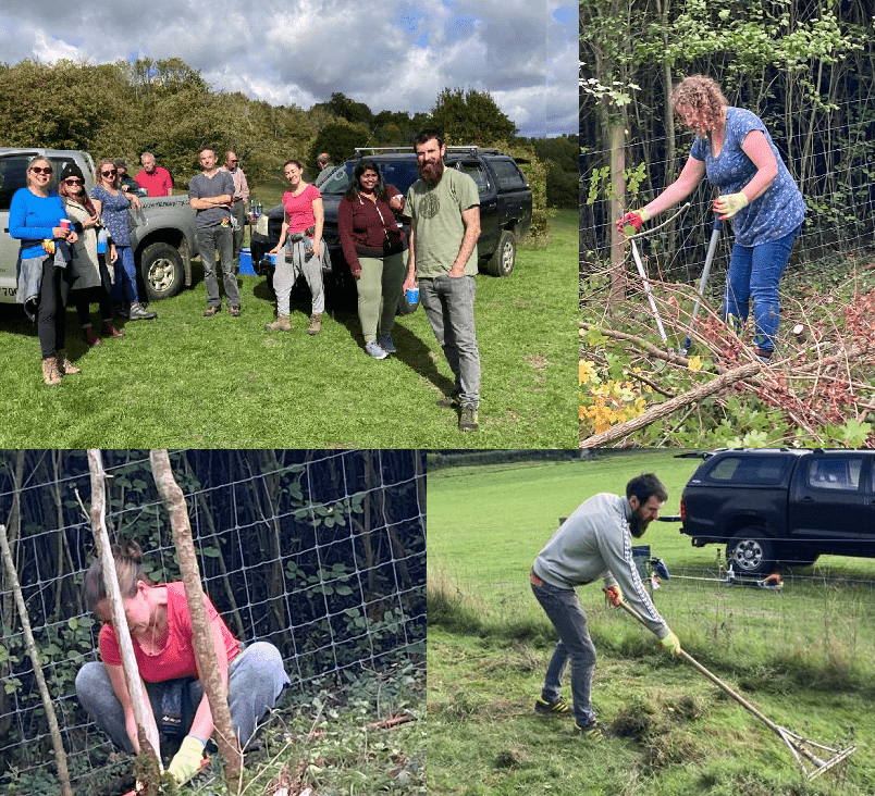 The SDA team environmental day - SDA Actuaries