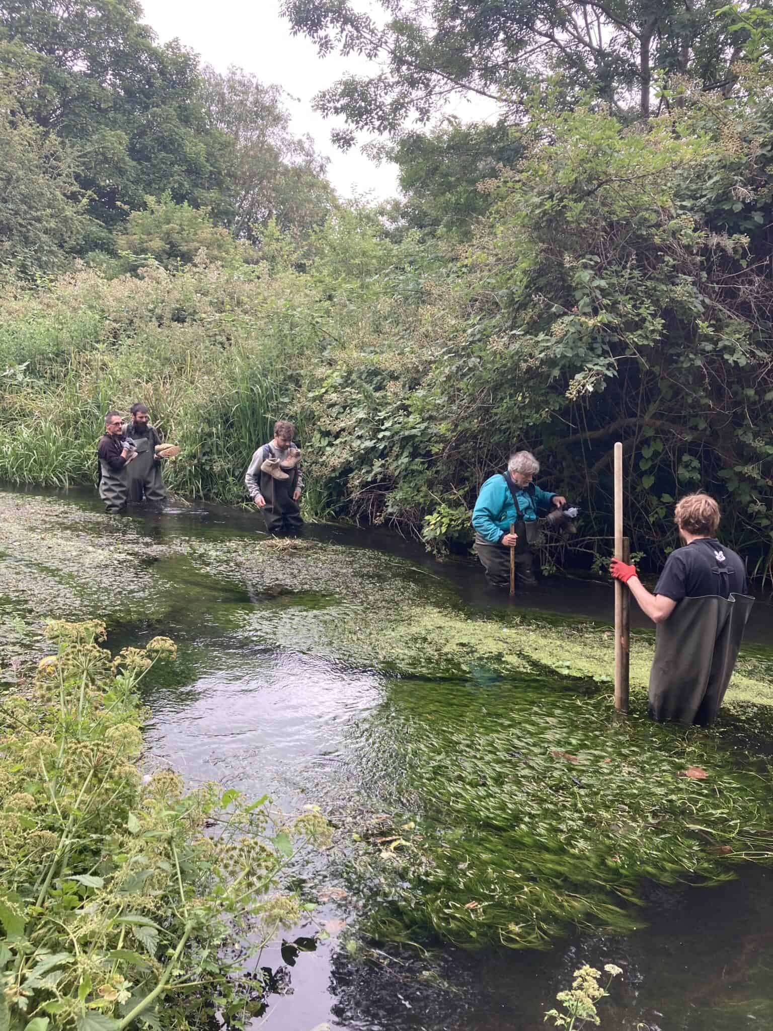 The SDA team environmental day 2024 - SDA Actuaries